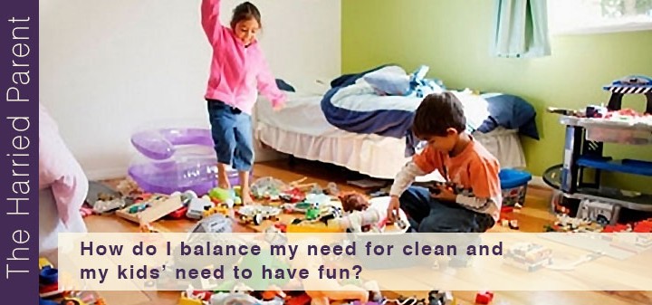 The Harried Parent – Sacramento Professional Home Organizer